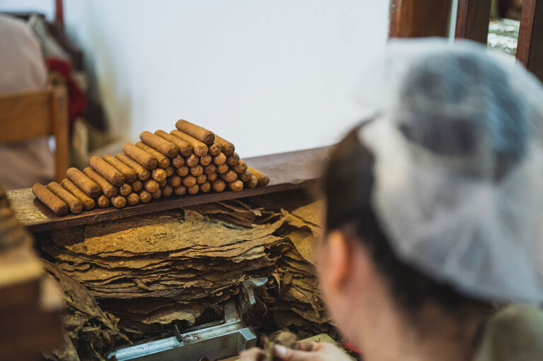 How To Choose A Cigar (Plus Cut, Light, & Smoke It The Right Way)